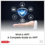 Expert Vulnerability Assessment and Penetration Testing Services | SIS ...